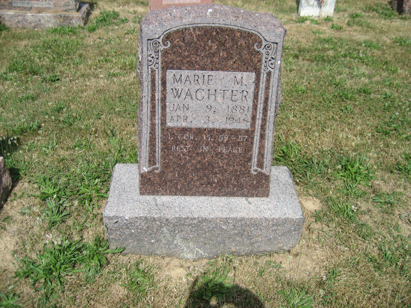 Wachter’s Koch and Doering