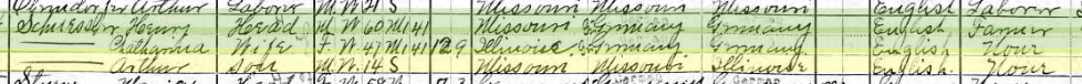 arthur-schuessler-1910-census-brazeau-township-mo