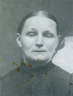 dorothea-koester