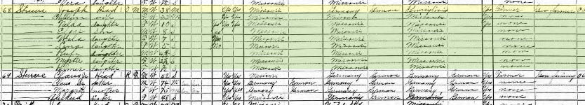 joseph-stueve-1920-census-salem-township-mo