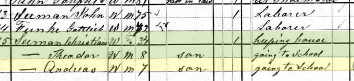 The Other Seeman Son and His Sons