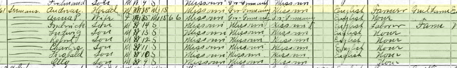 The Other Seeman Son and His Sons